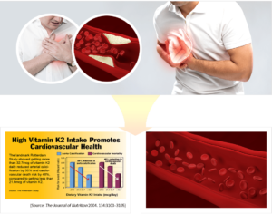 Cardiovascular Health – MediQ7