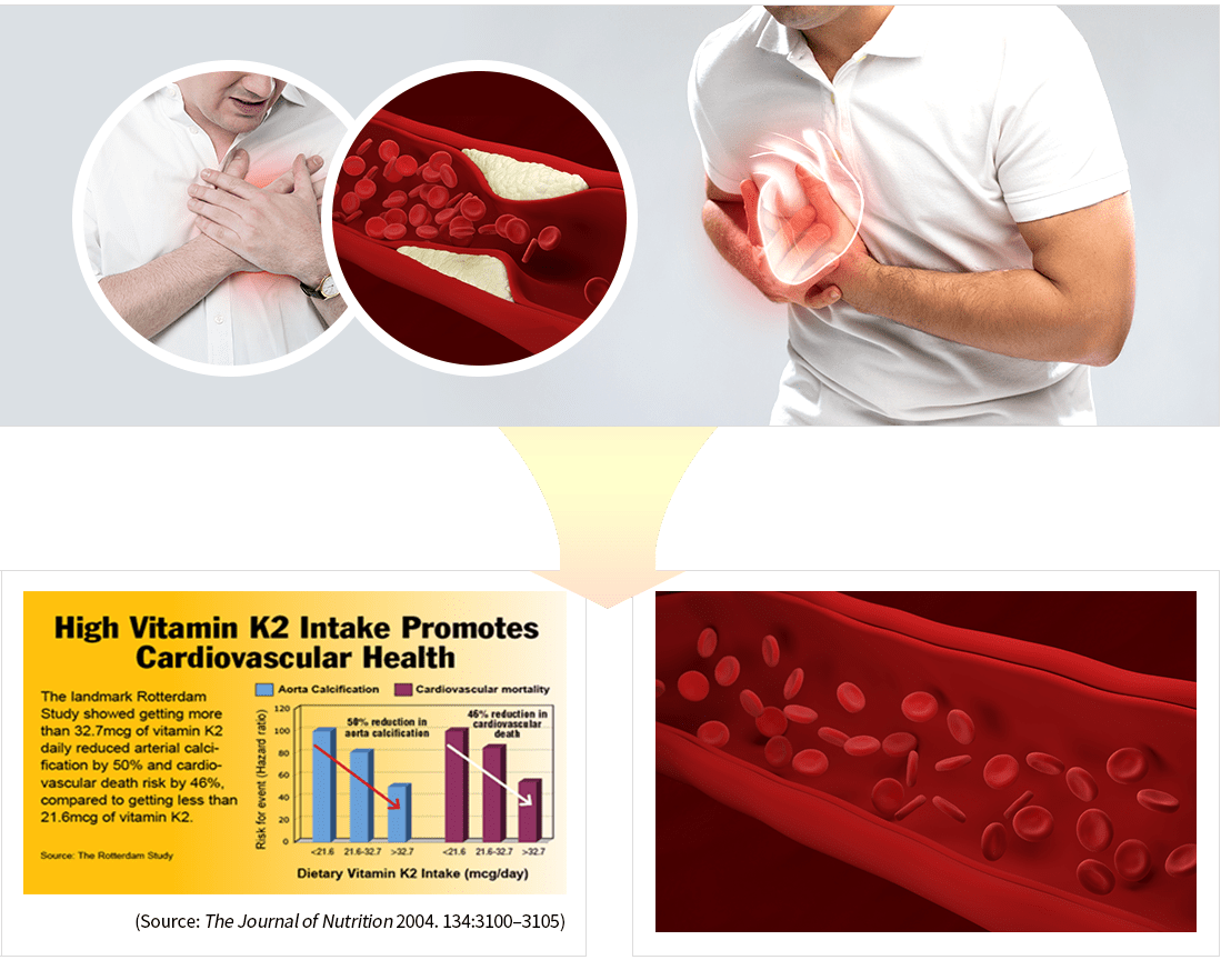 Vitamin K2 Benefits: Cardiovascular Health | MediQ7